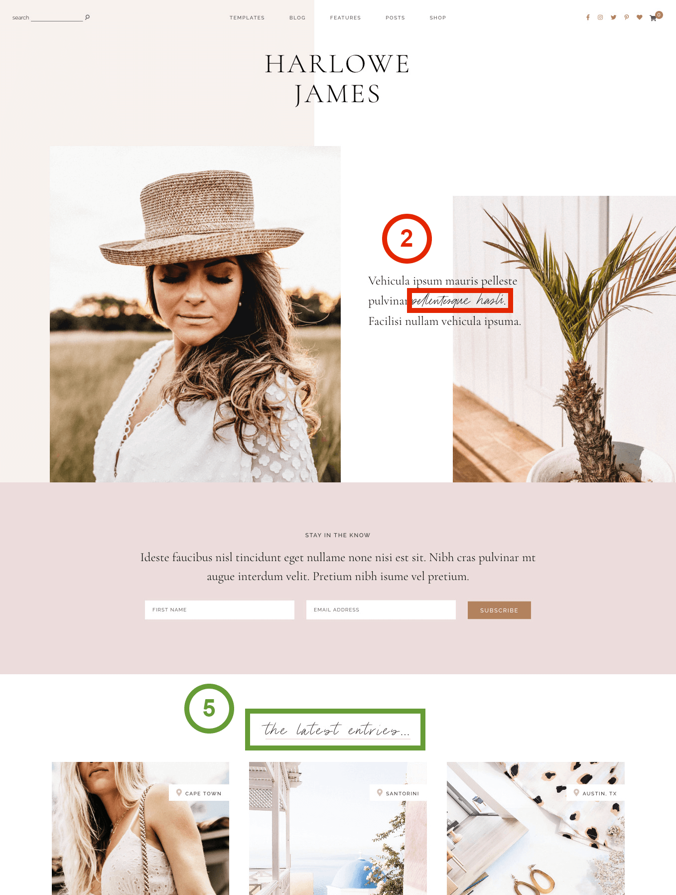 Harlowe Theme Documentation