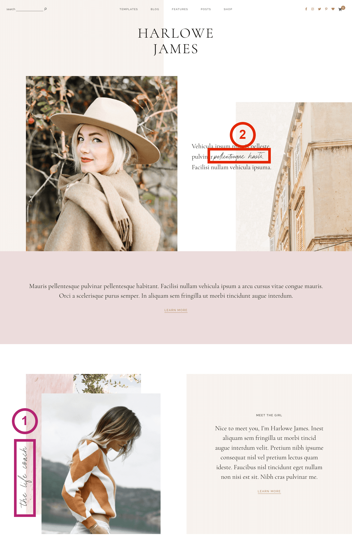 Harlowe Theme Documentation